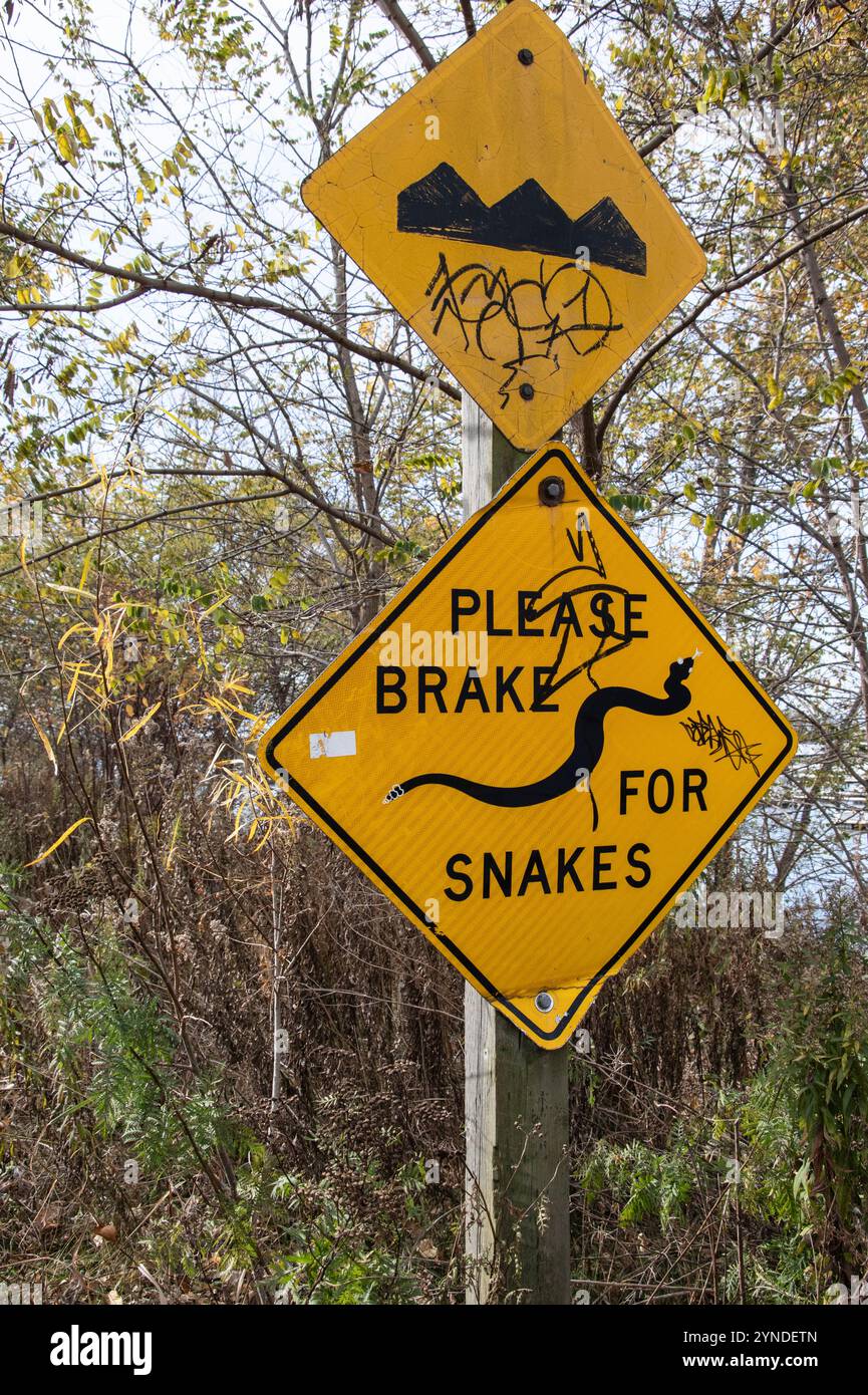 Speed bump and brake for snakes signs at Tommy Thompson Park in ...