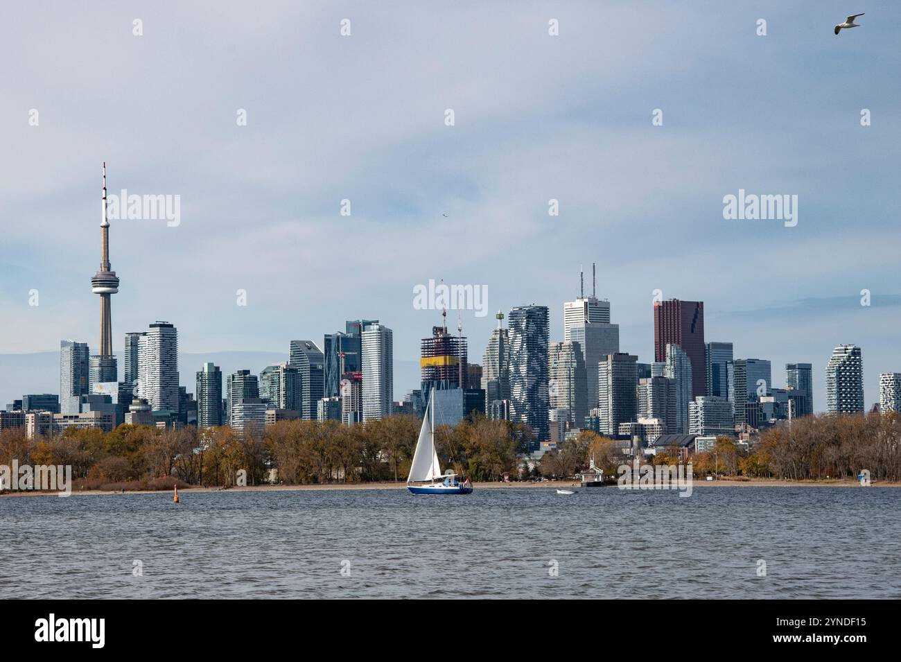 View of downtown Toronto from Tommy Thompson Park in Scarborough ...