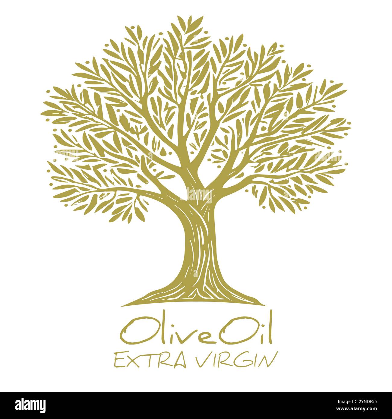 Olive Tree. Extra virgin olive oil symbol. Symbol of culture and ...