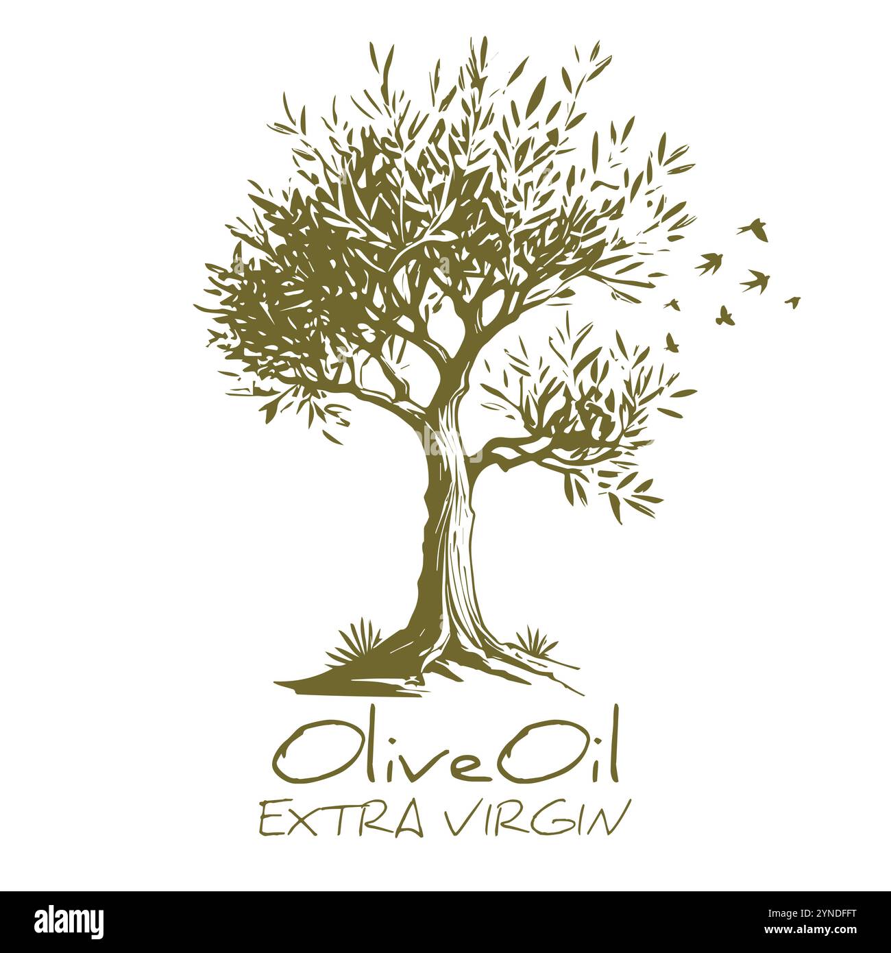 Olive Tree. Extra virgin olive oil symbol. Symbol of culture and ...