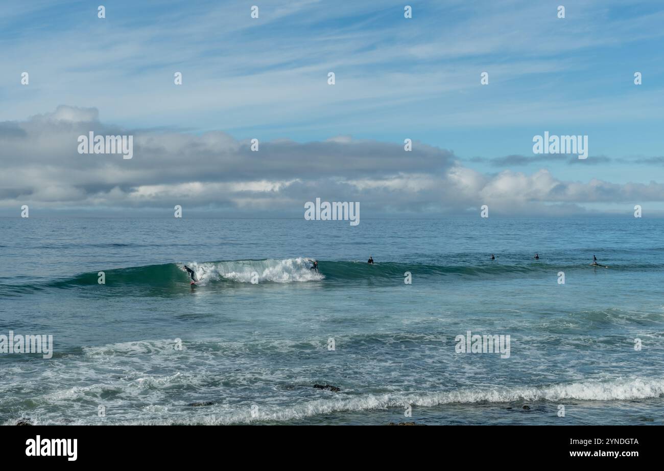 Surfing at the Salt Creek Beach in Dana Point, Orange County, Southern ...