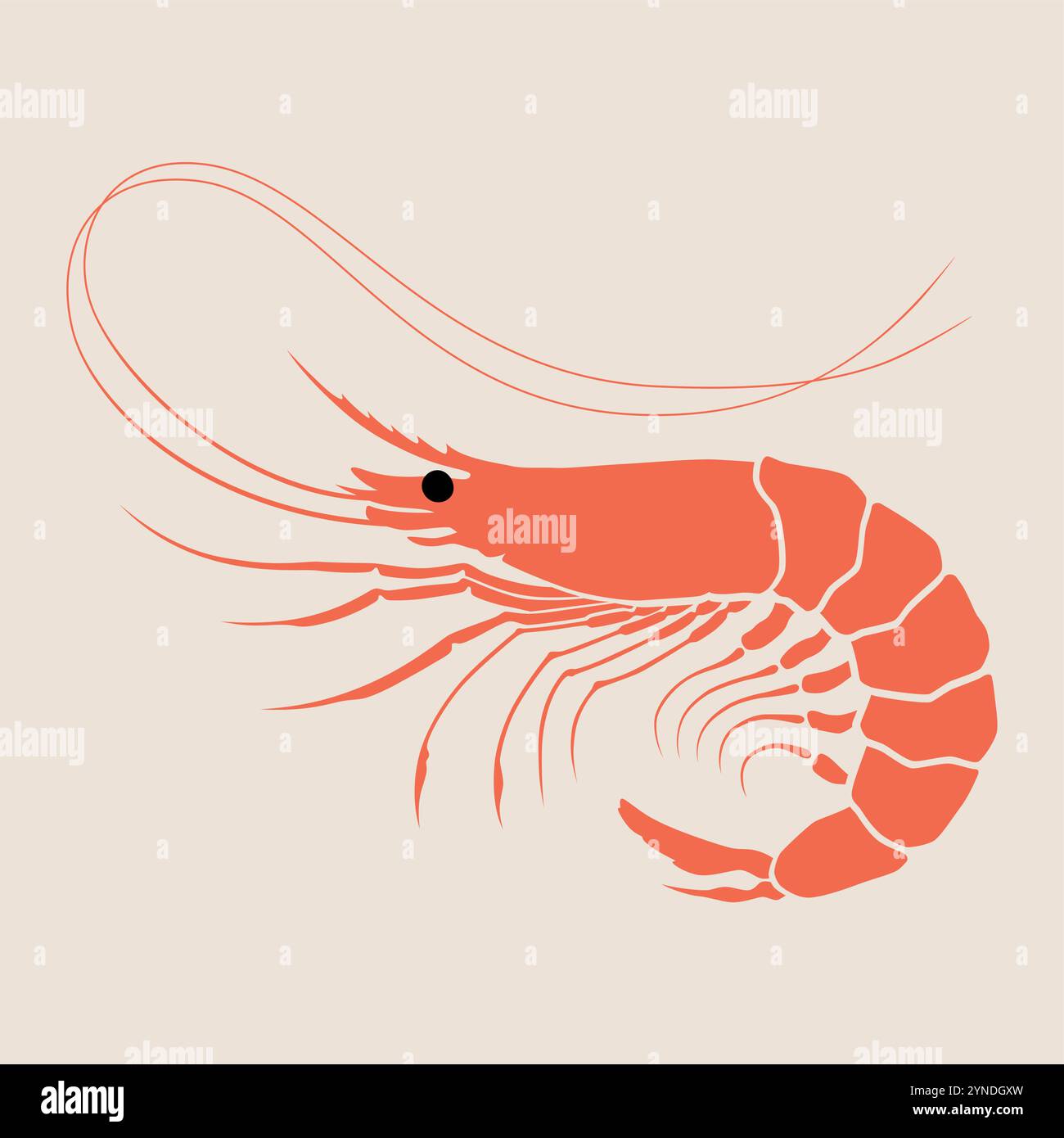 Vector shrimp logo on white background Stock Vector Image & Art - Alamy