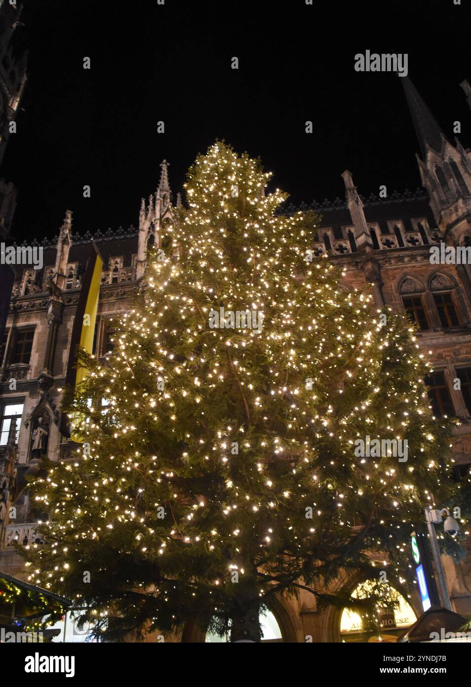 Beleuchteter Christbaum Muenchen 25.11.2024 Marienplatz Chrstkindlmarkt ...