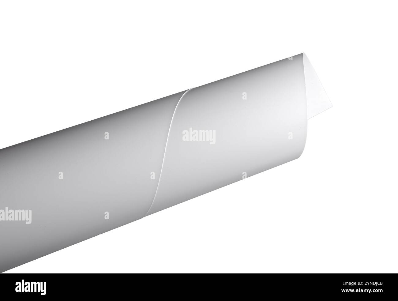White rolled paper, curved with smooth, sleek texture. Elegant, minimal ...