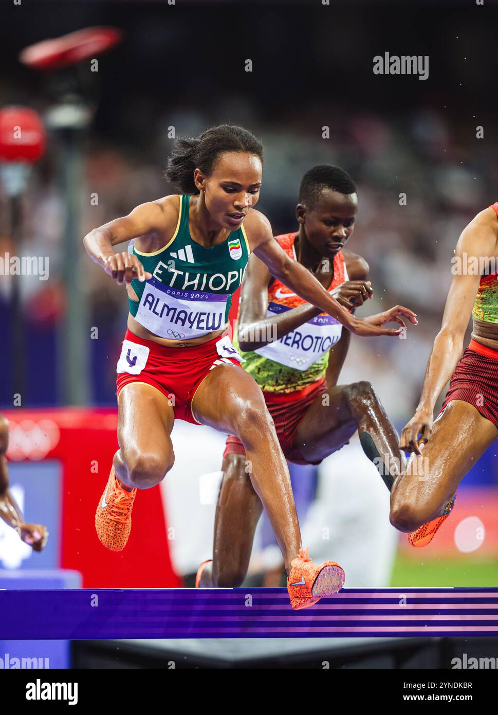 Sembo Almayew participating in the 3000 metres steeplechase at the ...