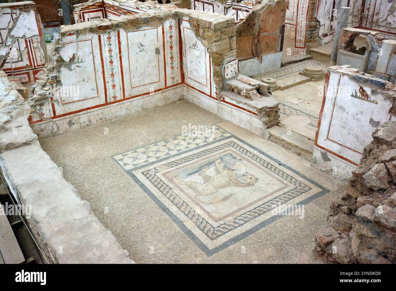 The 'terrace houses' at Ephesus, showing how the wealthy lived during ...
