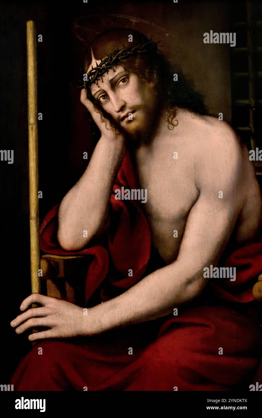 Christ au Roseau - Christ on the Reed by Giampietrino,Giovanni Pietro ...