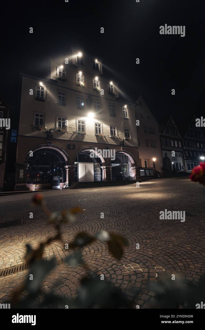 Historic half-timbered building at night, illuminated and surrounded by ...