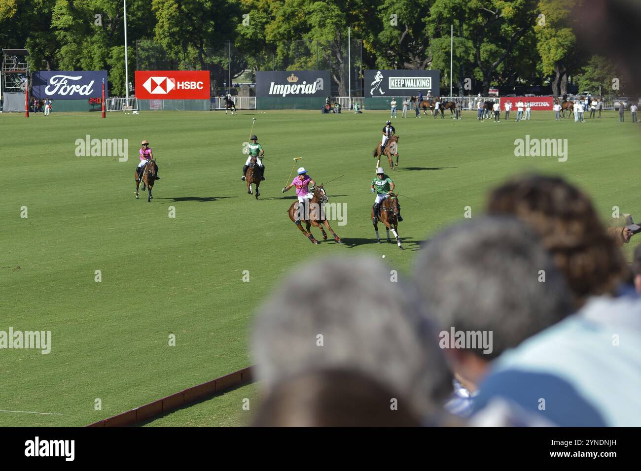 Scene from the 131st Argentine Open Polo Championship (Spanish ...