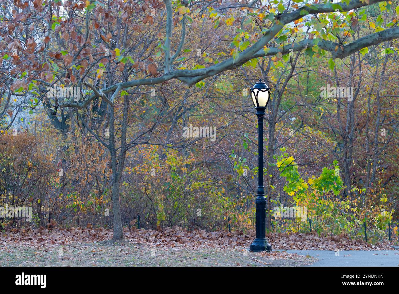 Lamp post and autumn foliage in central park, New York city. No visible ...