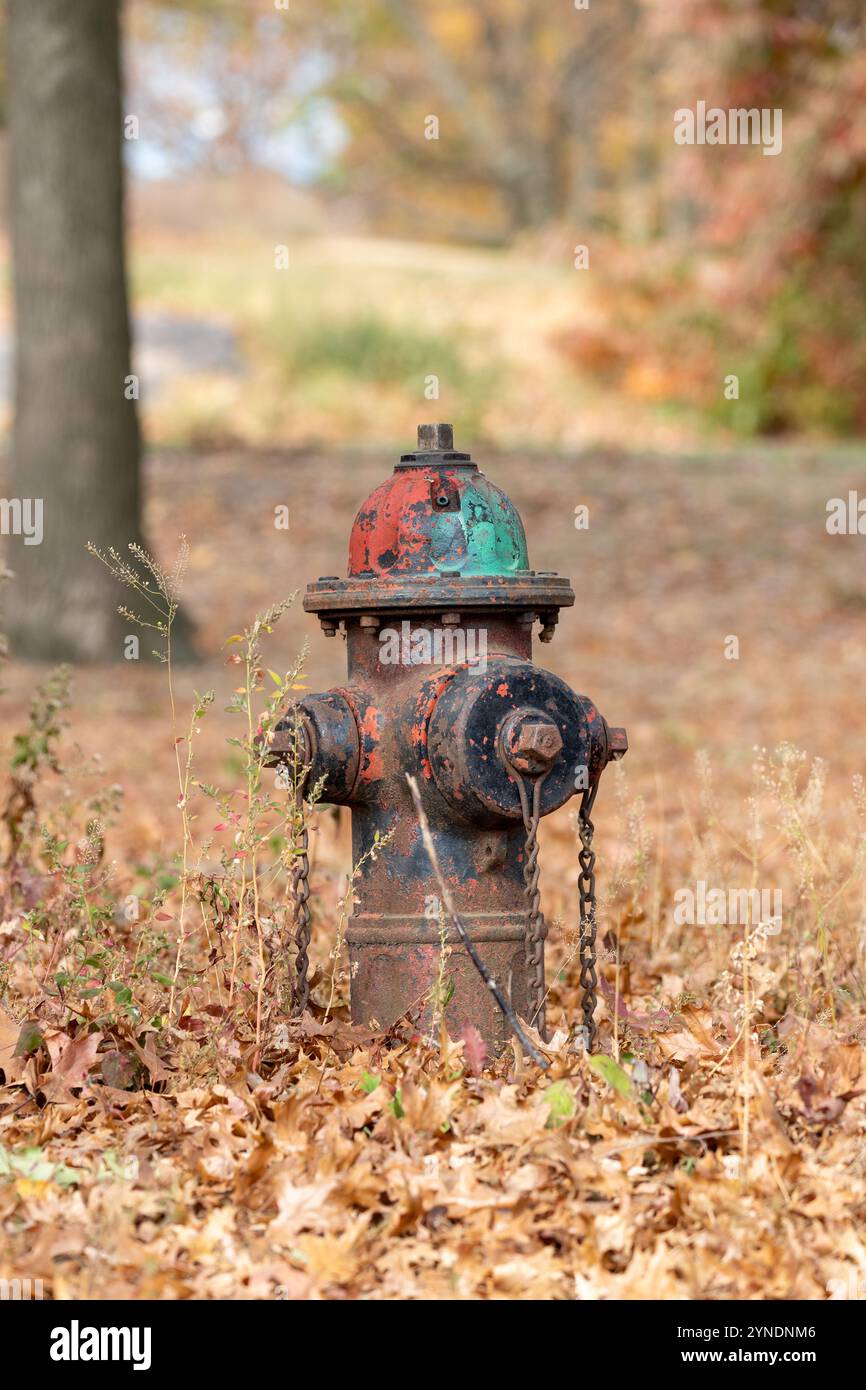 Fire hydrant in plants hi-res stock photography and images - Alamy