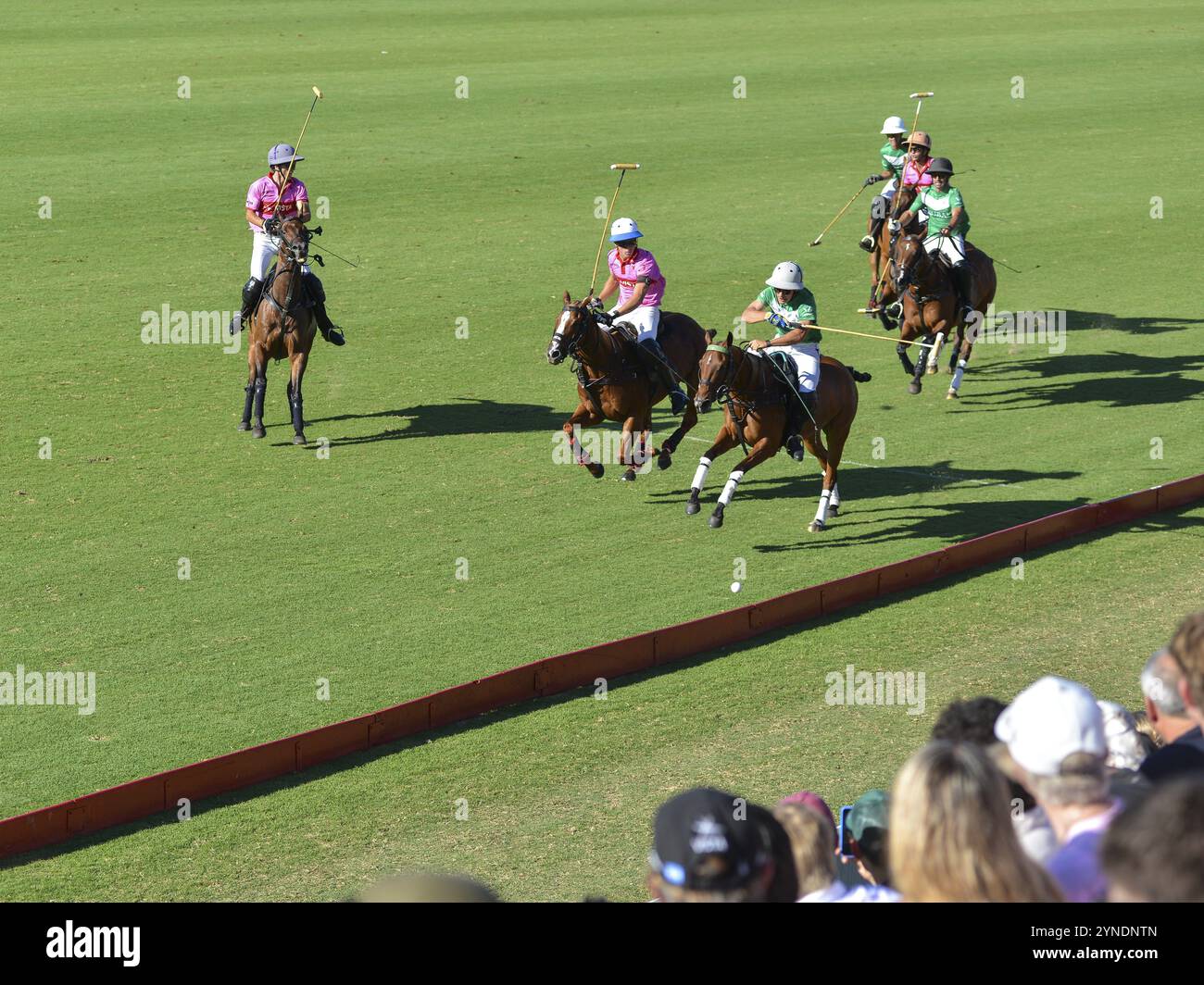 Scene from the 131st Argentine Open Polo Championship (Spanish ...