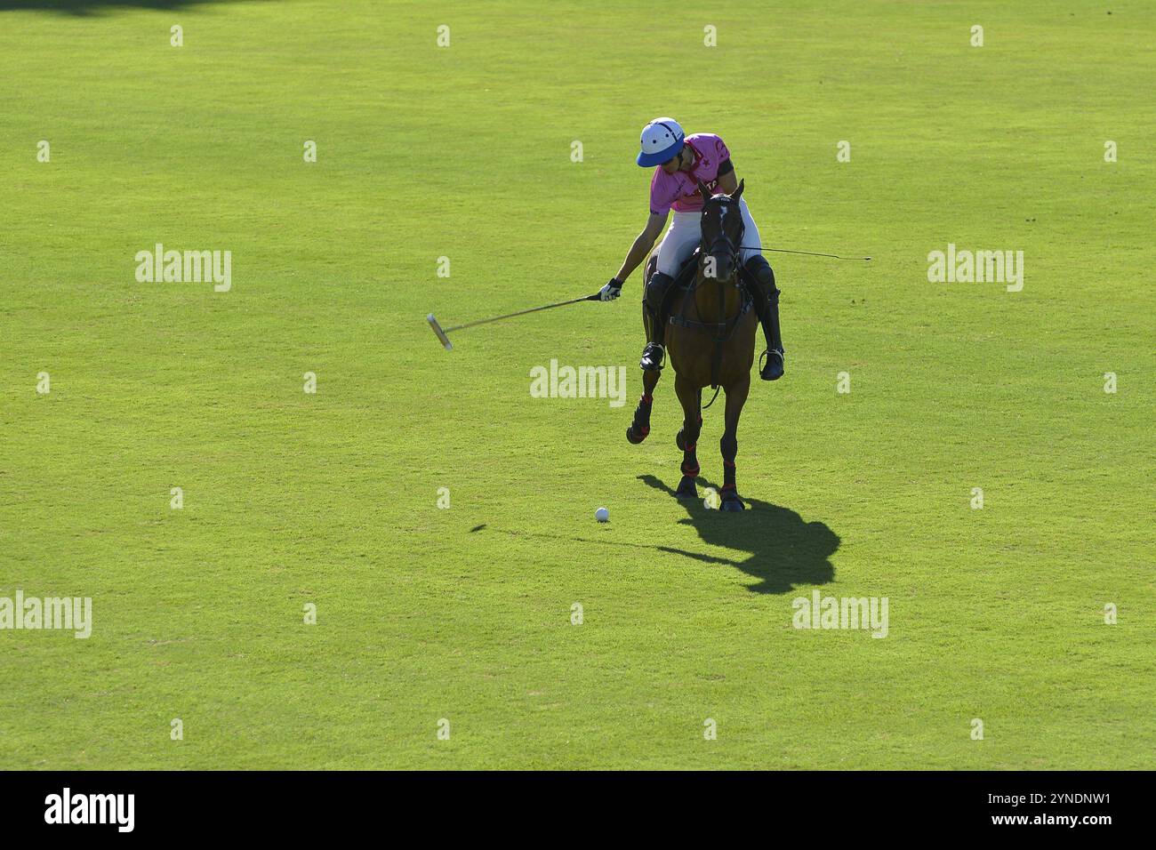 Cruz Heguy from team Indios Chapaleufu Vista Energy playing against La ...