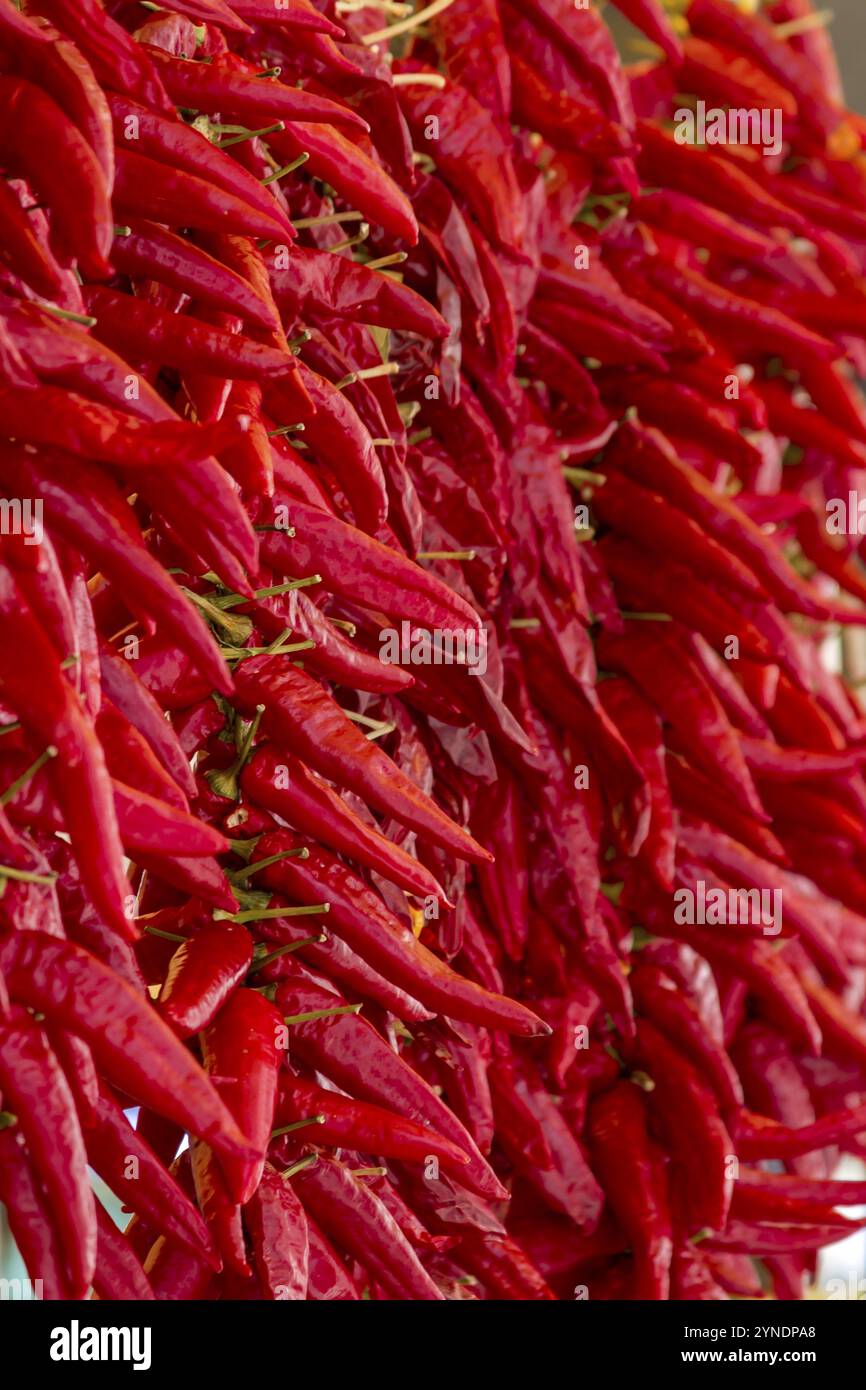 Market stall with chilli peppers, Venice, Italy, Europe Stock Photo - Alamy