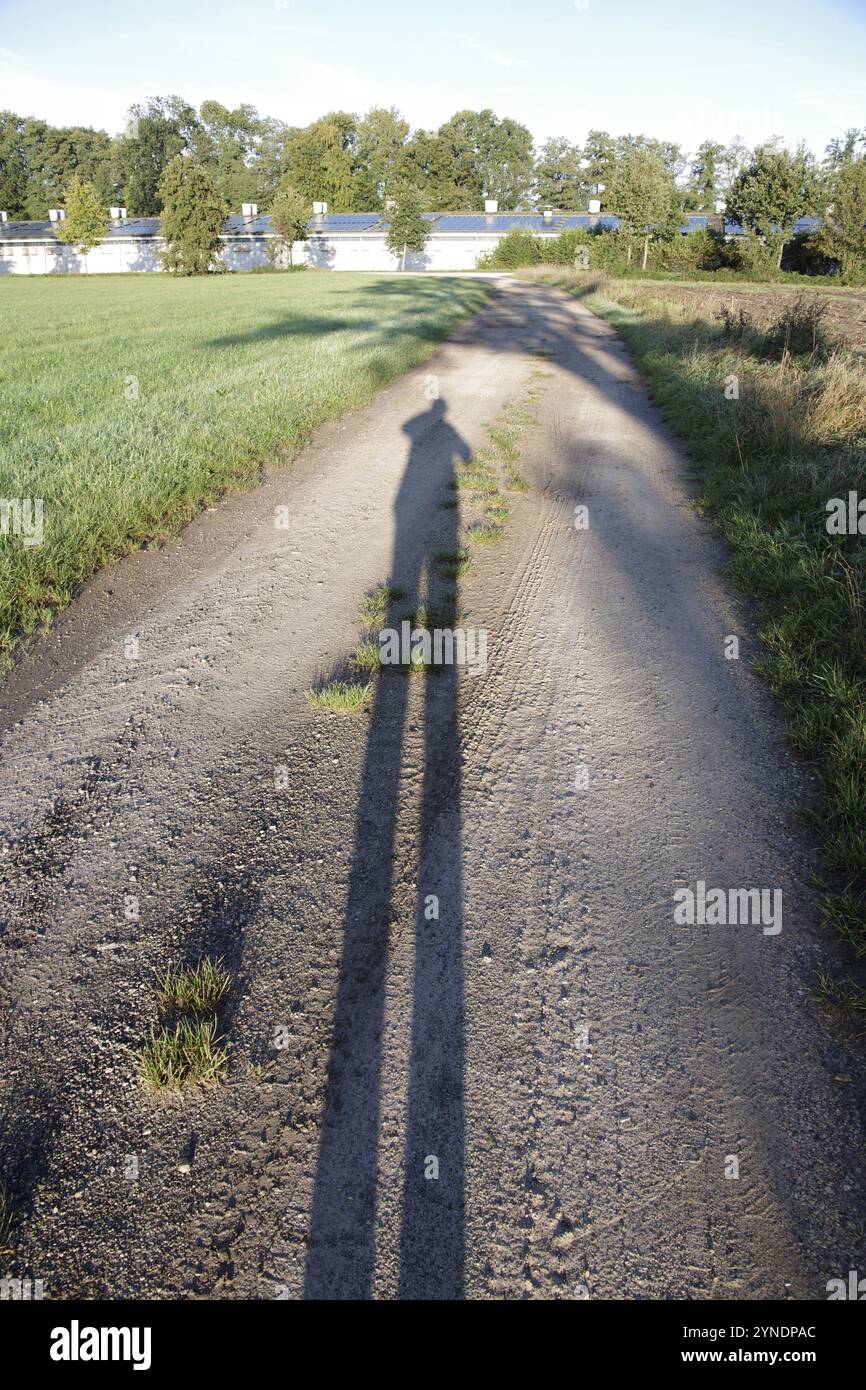 Sunlight casts shadows person hi-res stock photography and images - Alamy
