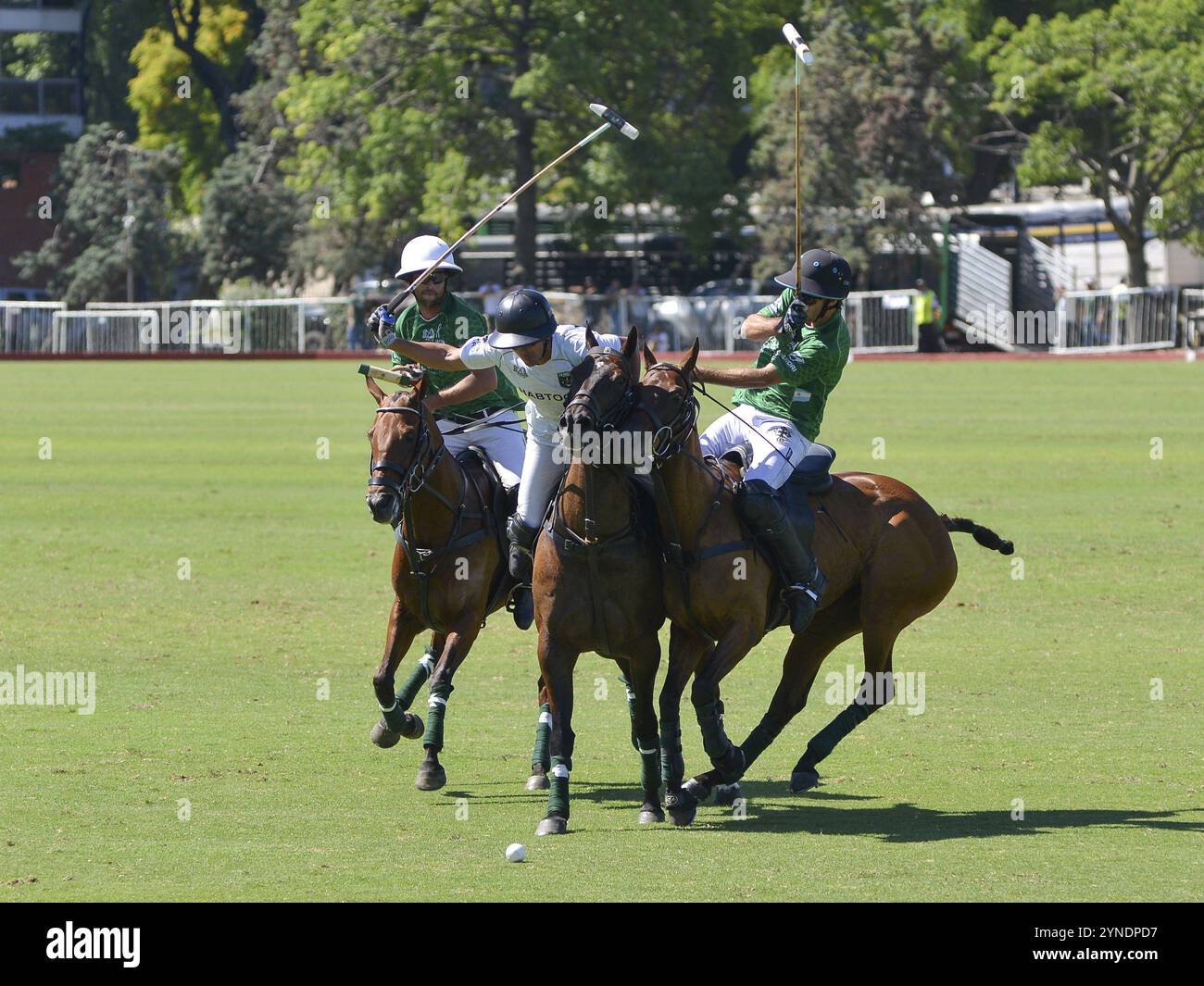 Scene from the 131st Argentine Open Polo Championship (Spanish ...