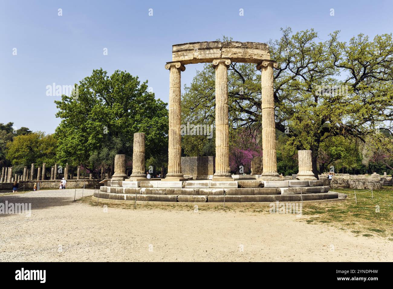 Philippeion, restored ruins, rotunda, ancient Olympia in spring ...