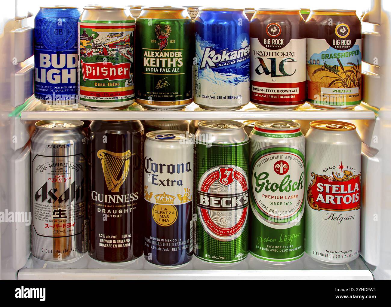 Most popular imported beers store