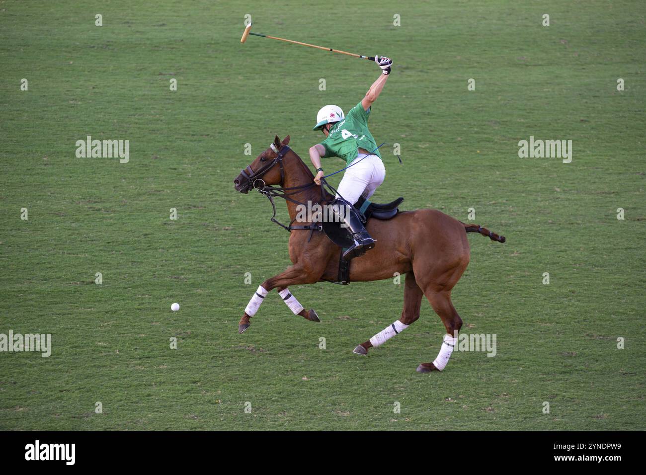 Scene from the 131st Argentine Open Polo Championship (Spanish ...