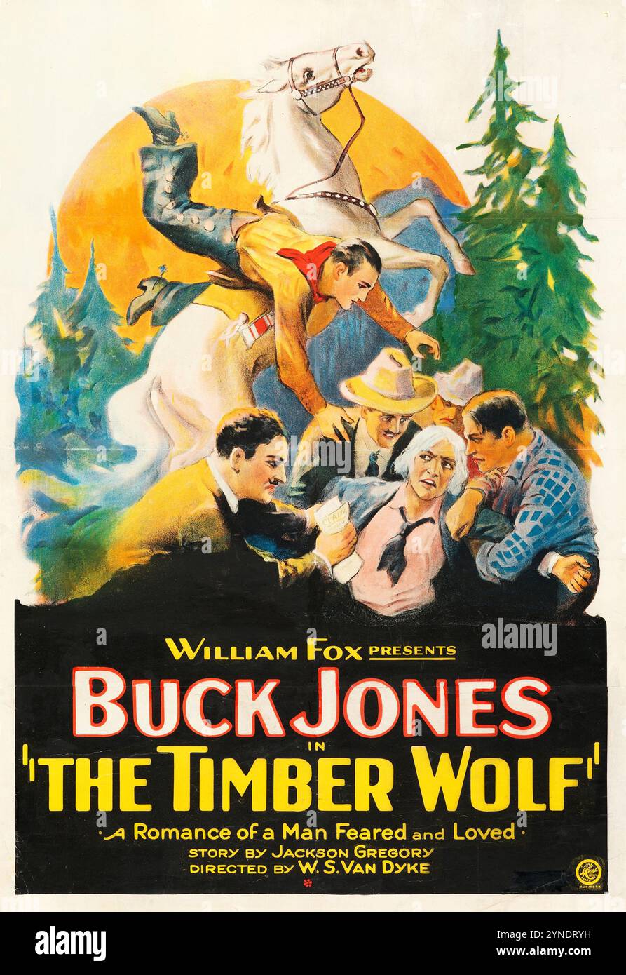 Buck Jones - The Timber Wolf (Fox, 1925) Film poster 1920s Stock Photo ...