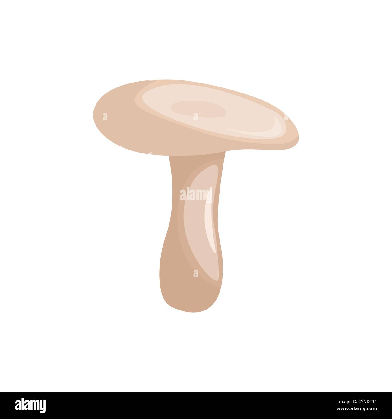 Milk mushroom on white Stock Vector Images - Alamy