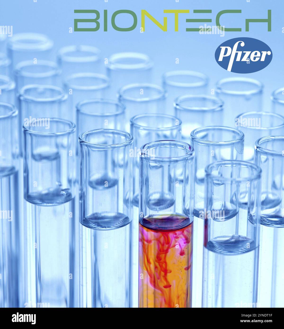 A single syringe, corona vaccine from Biontech and Pfizer, logo, test ...