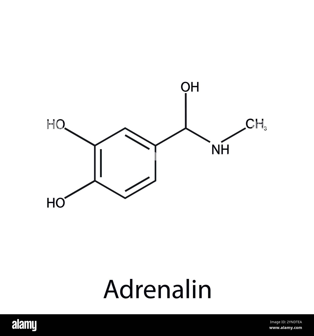 Chemical structure of the hormone epinephrine or adrenaline. Organic ...