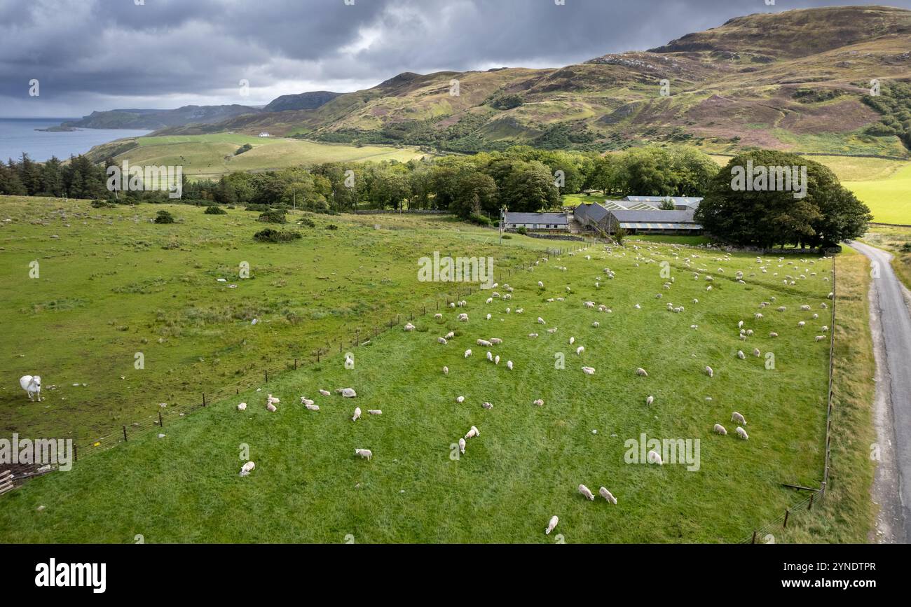 Farmstead on the shores of Loch Eriboll, alongside the North Coast 500 ...