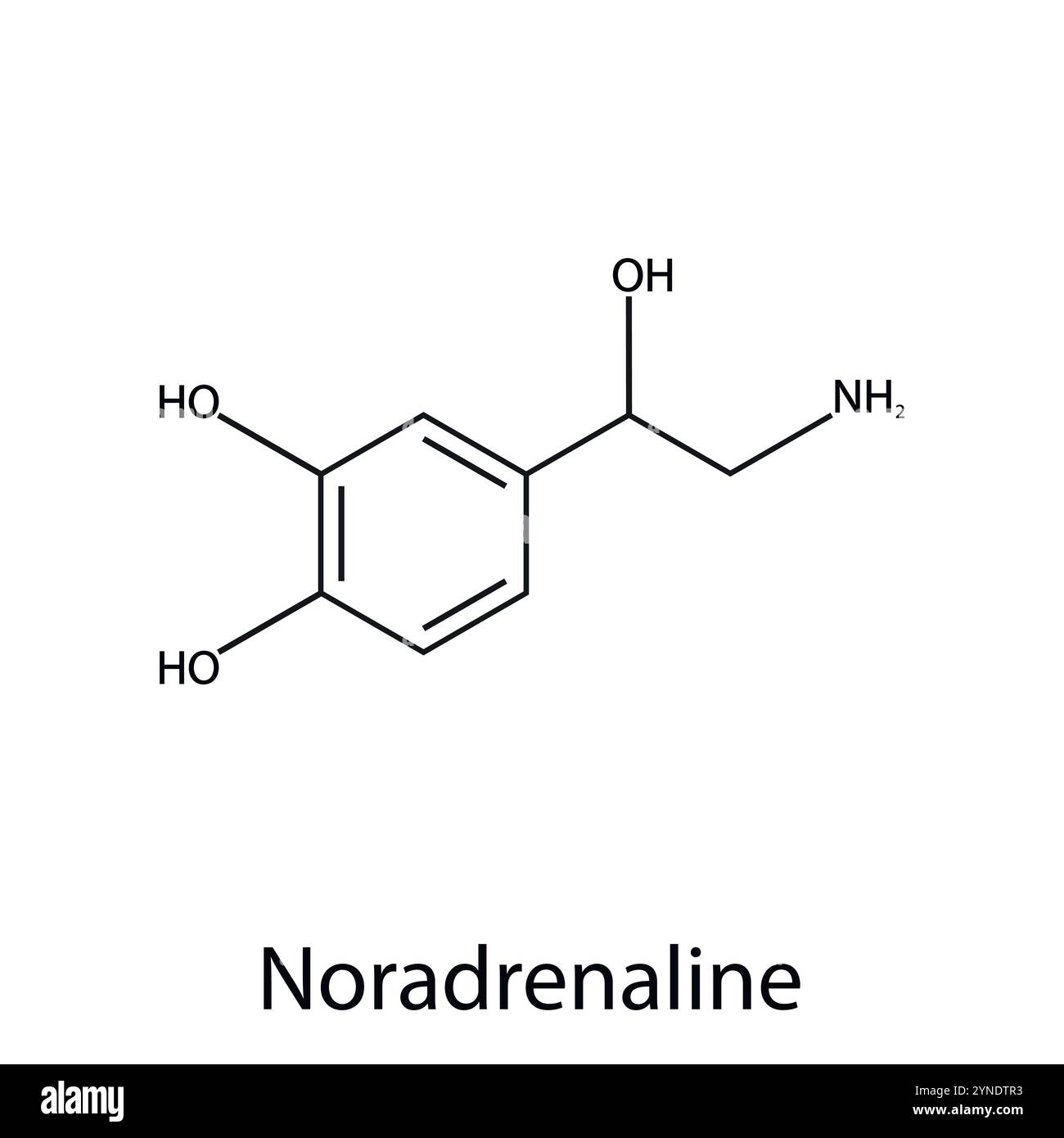 Chemical structure of norepinephrine. Organic chemistry. Vector Stock Vector Image & Art - Alamy