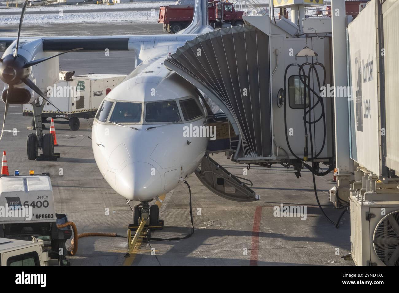 Calgary, Alberta, Canada, Nov. 3, 2023. A front view of a Westjet ...