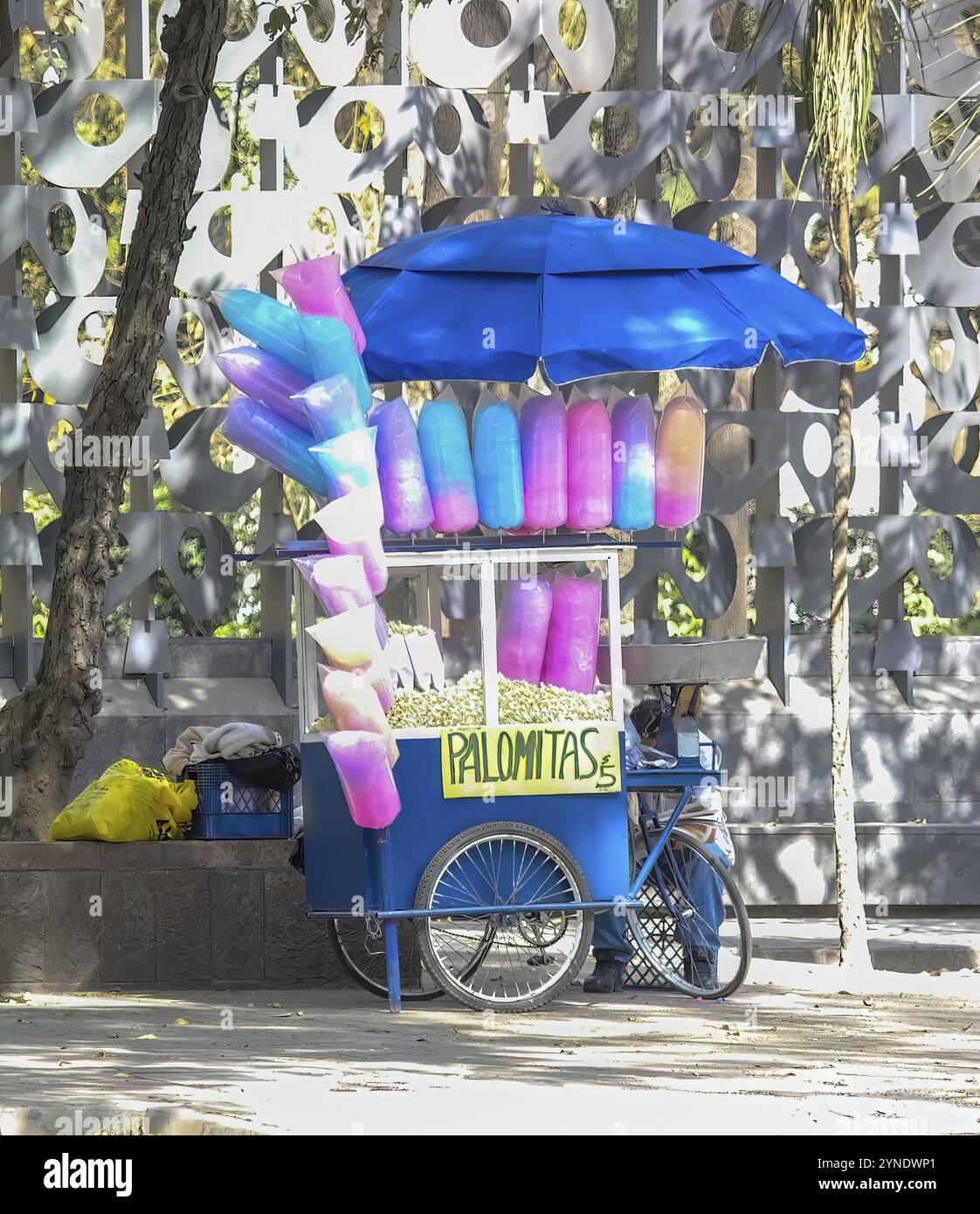 Mexico City, Mexico. Jan 14, 2024. A street vendor in Mexico City, with ...