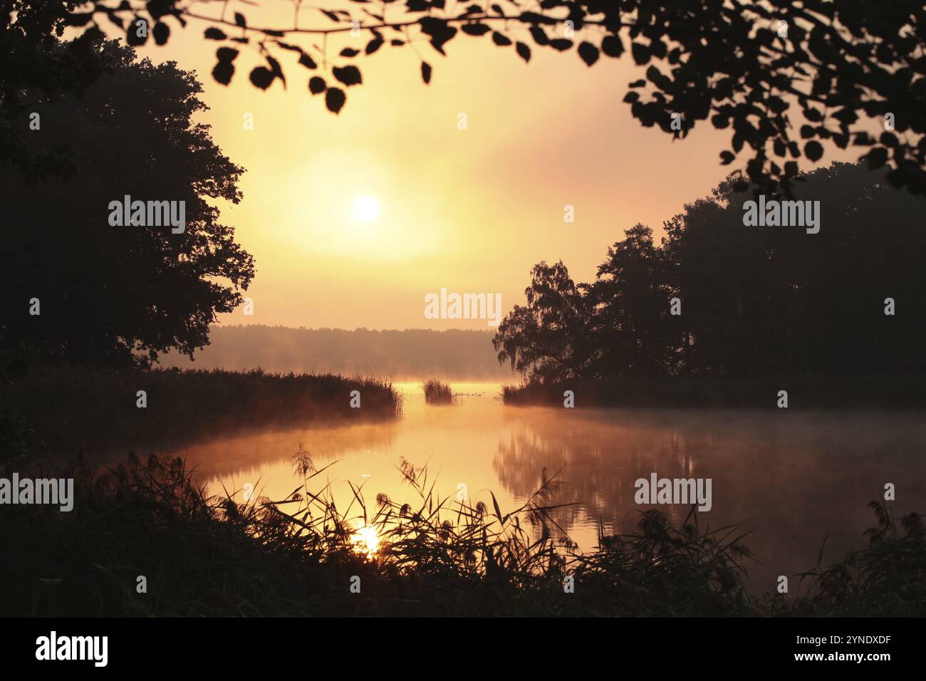 Sunrise in spring countryside hi-res stock photography and images - Alamy