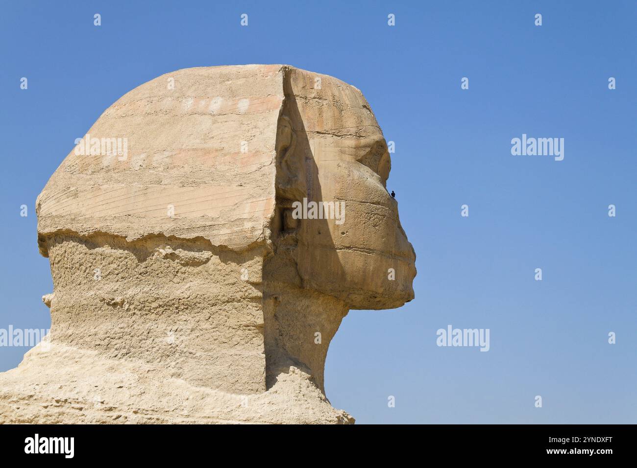 The Sphinx of Giza, Chephren pyramid, pyramids, blue sky, statue of a ...