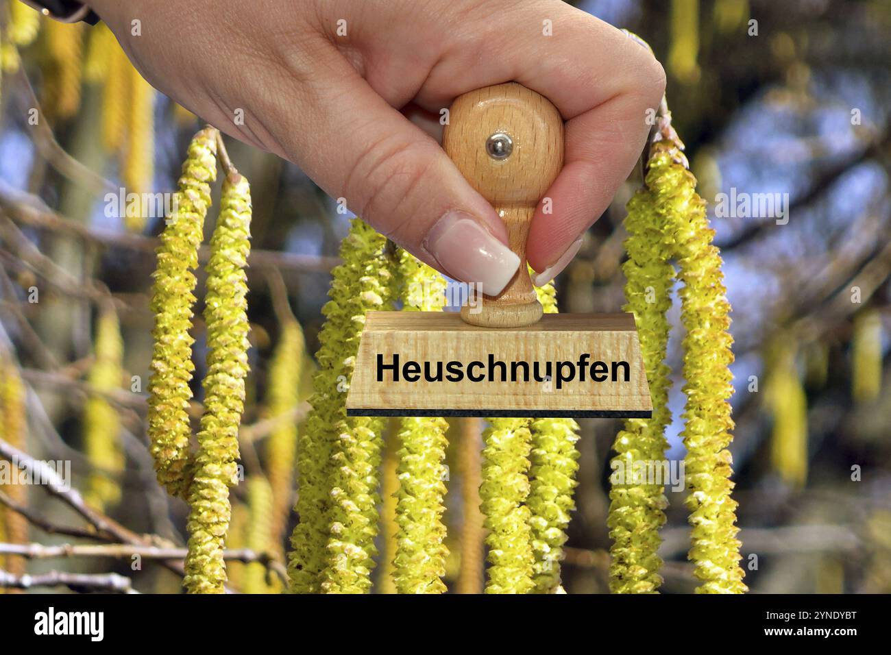 Flower pollen, hay fever stamp, pollen, hazel studio photo, Federal ...