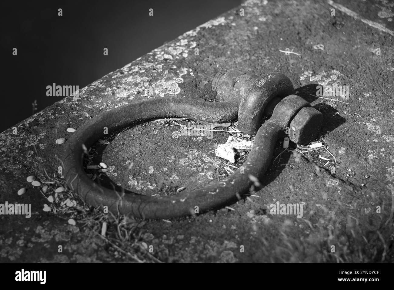 Ring for fastening ships on the Rhine, black and white, Duesseldorf ...