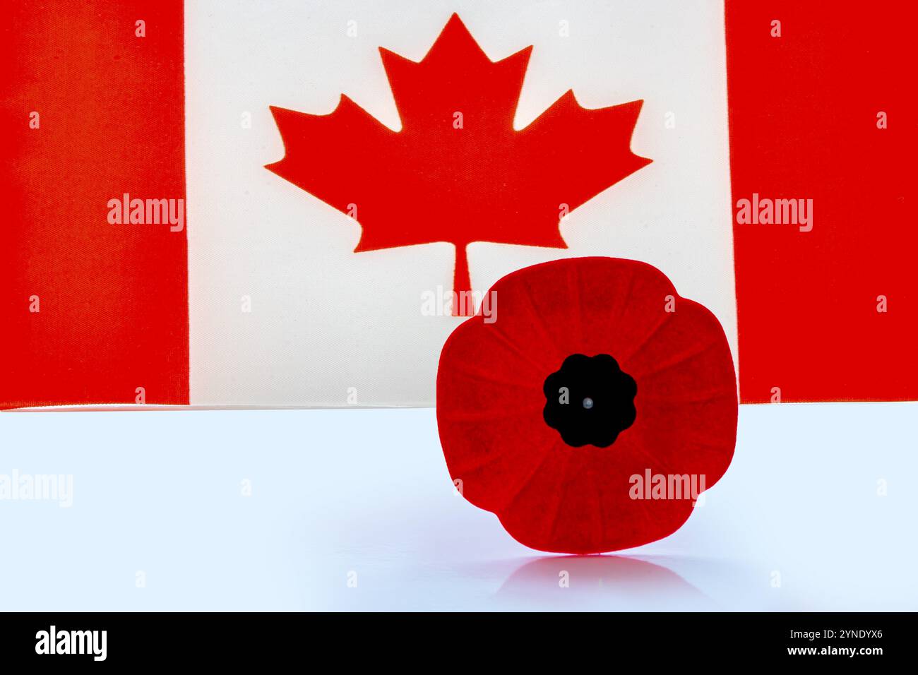 A remembrance day poppy flower with a Canadian Flag on the background ...