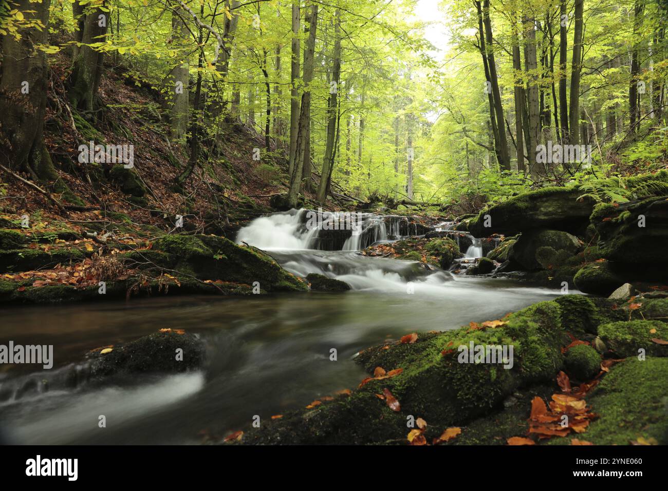 Stream flowing down mountain river hi-res stock photography and images ...