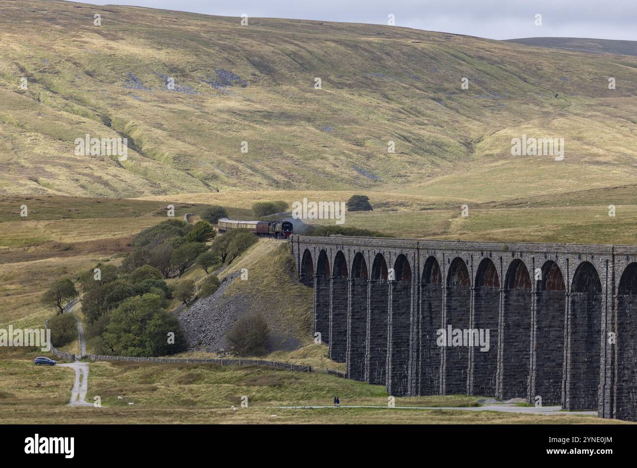 Steam train crossing Ribblehead Viaduct, railway bridge over the valley ...