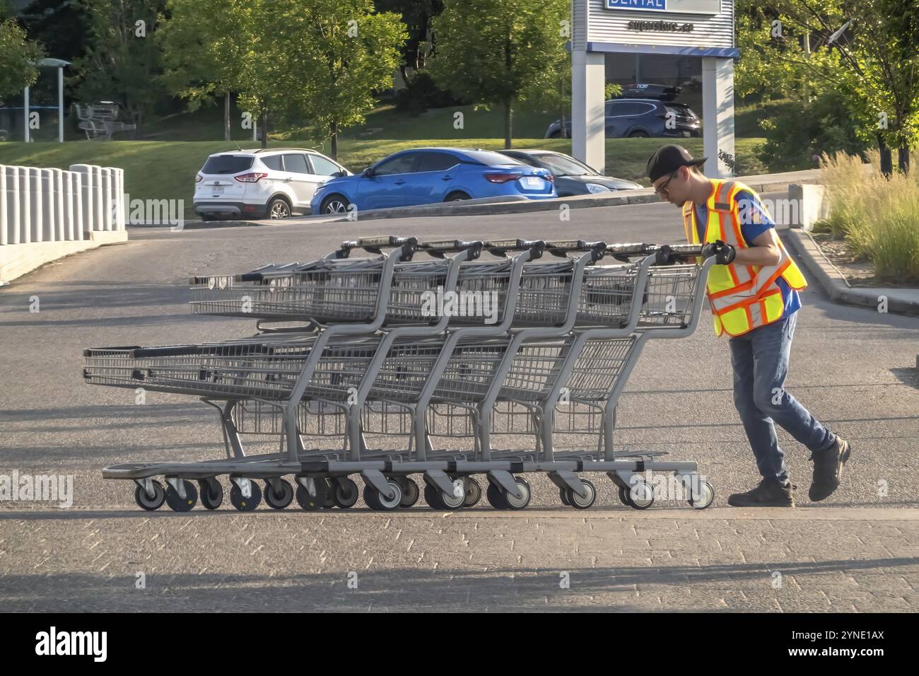 Man cart on parking of carts hi-res stock photography and images - Alamy