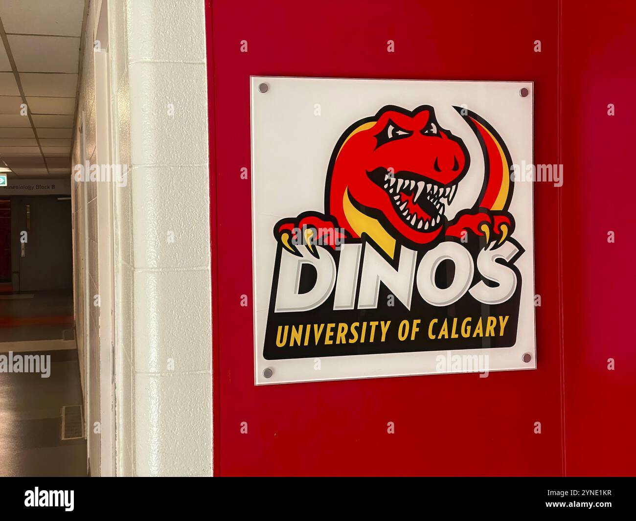 Calgary, Alberta, Canada. Sep '16, 2023. The Dinos are the athletics ...