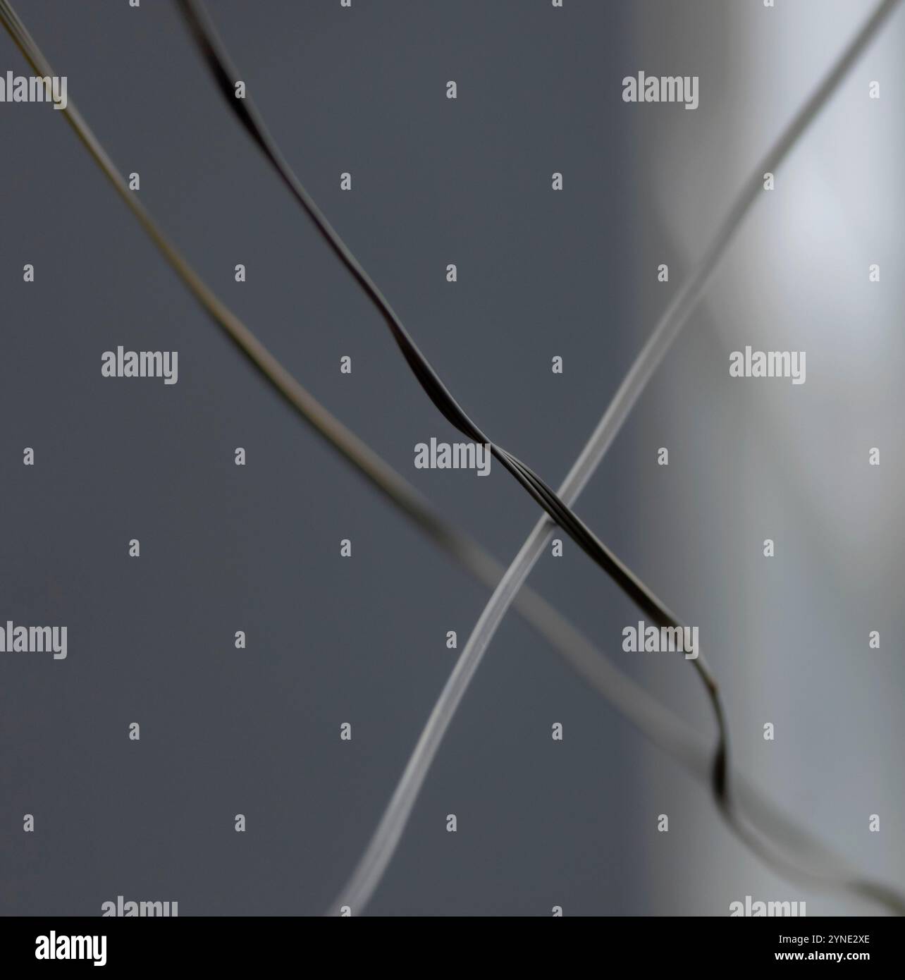 Xcorp hi-res stock photography and images - Alamy