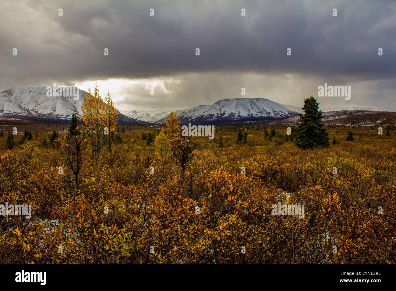 Panorama denali national park hi-res stock photography and images - Alamy