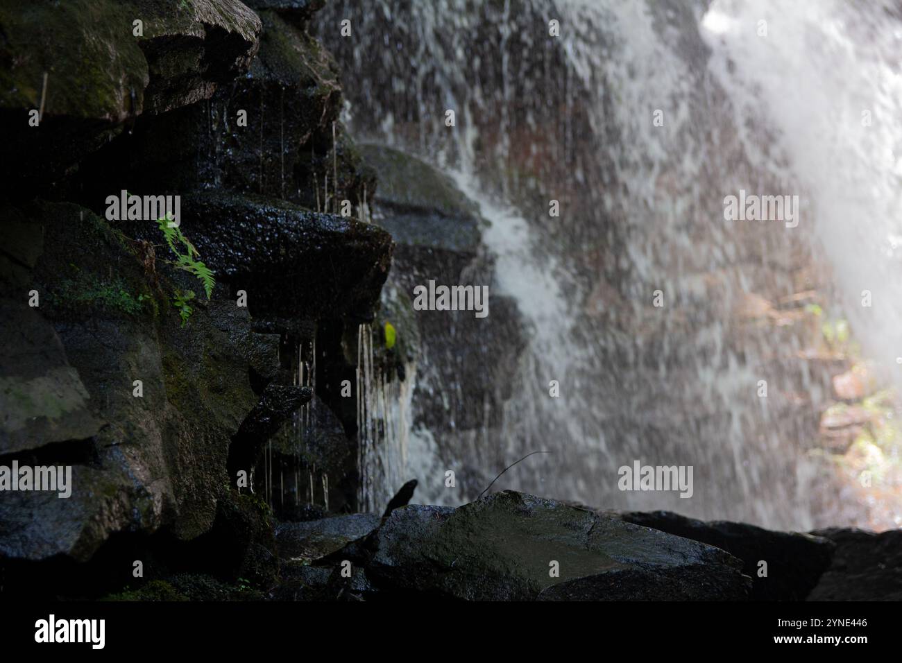 Close Up view of water dripping at the bottom of a waterfall Stock ...