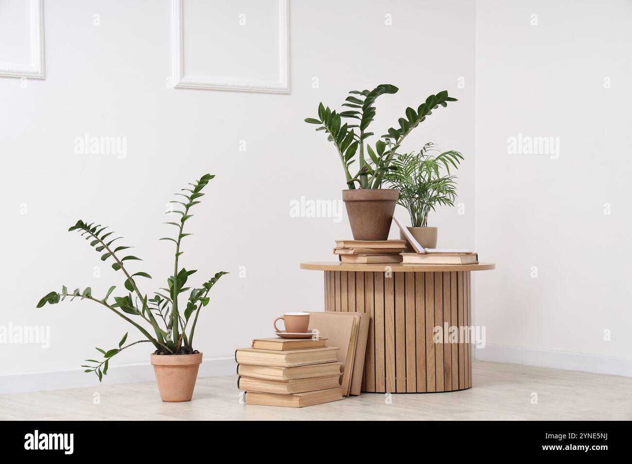 Round table, books, cup and different houseplants near white wall in ...