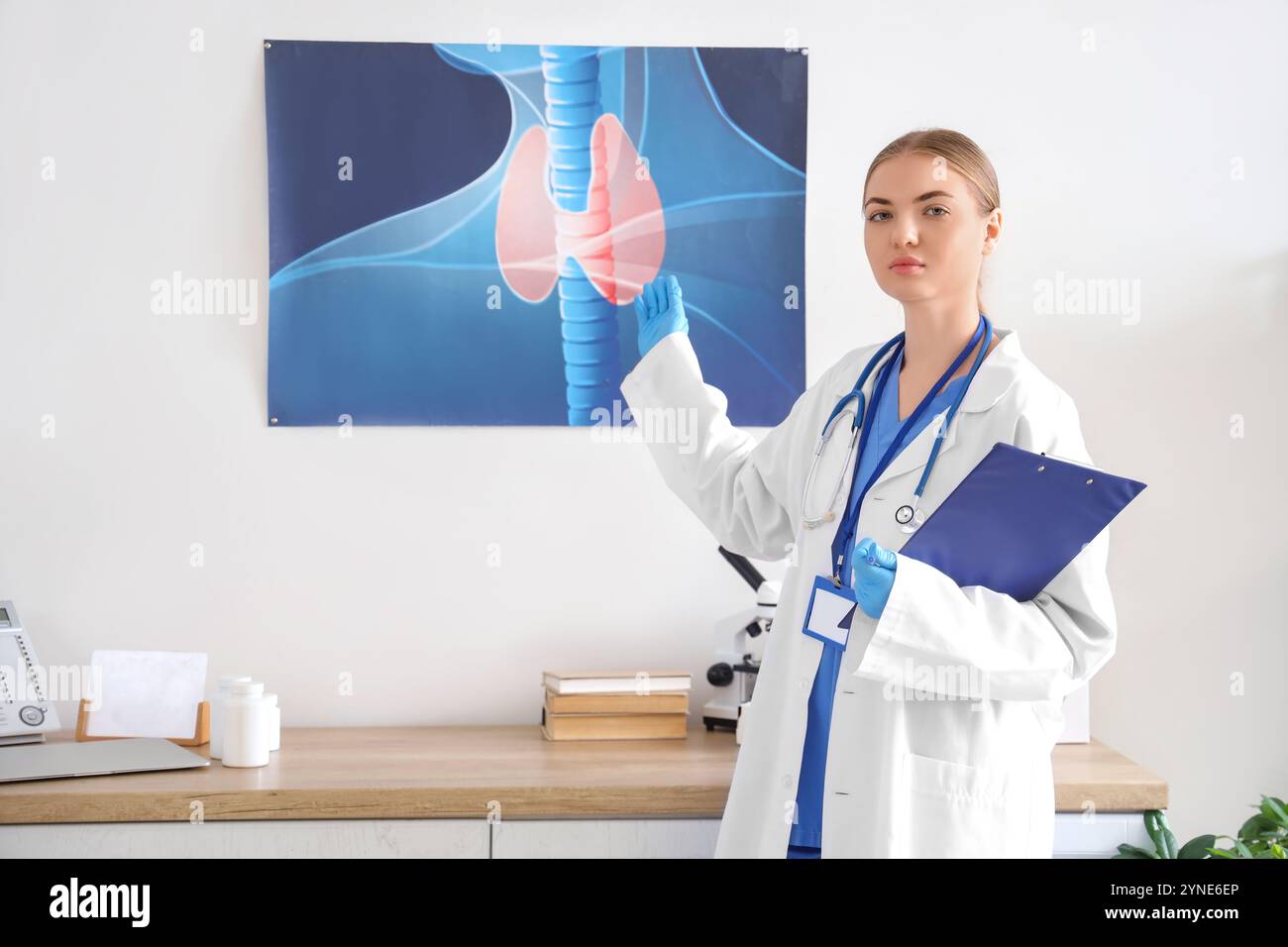 Female endocrinologist showing picture of thyroid gland in clinic Stock ...