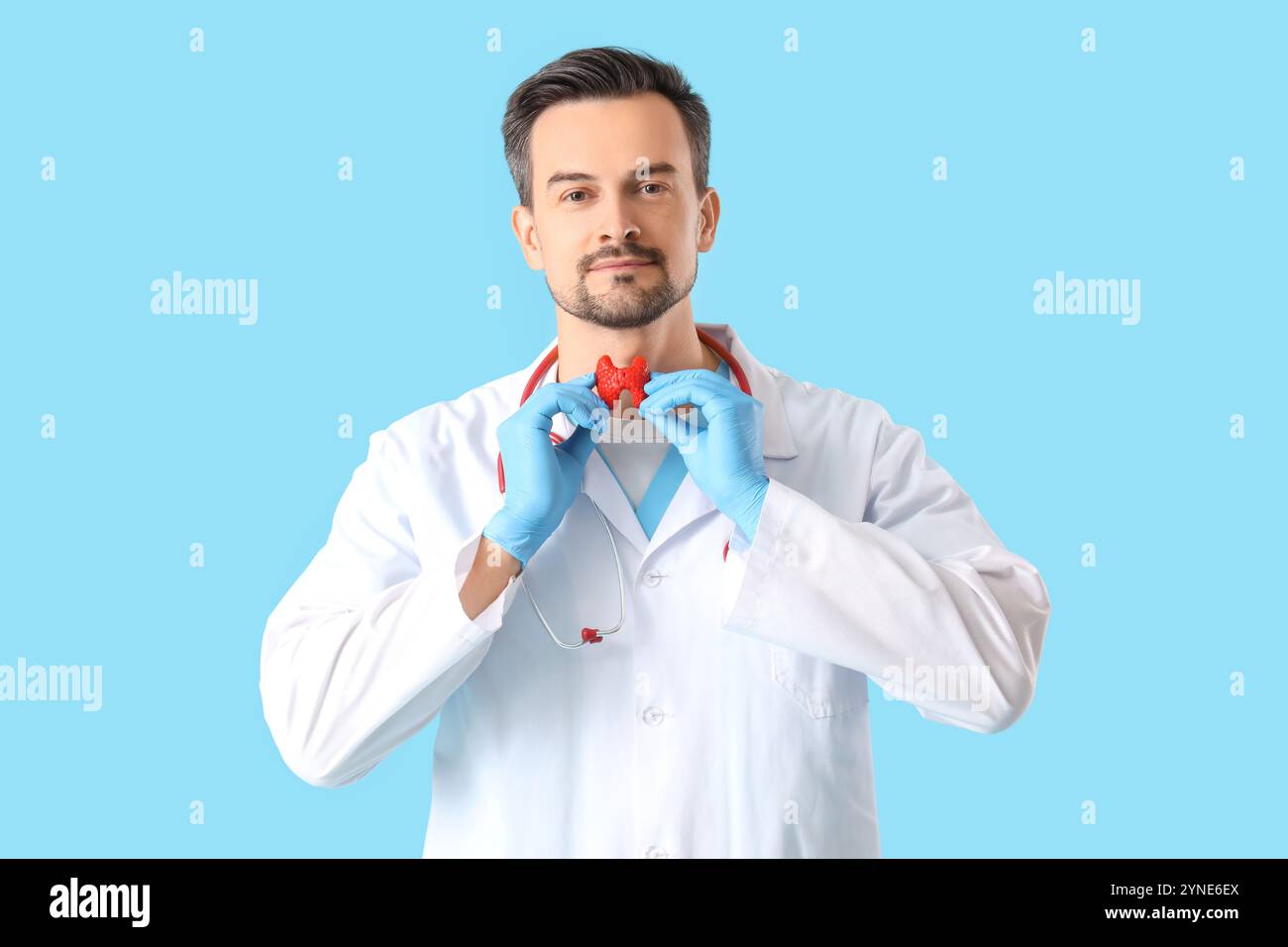 Male endocrinologist with thyroid gland model on blue background Stock ...