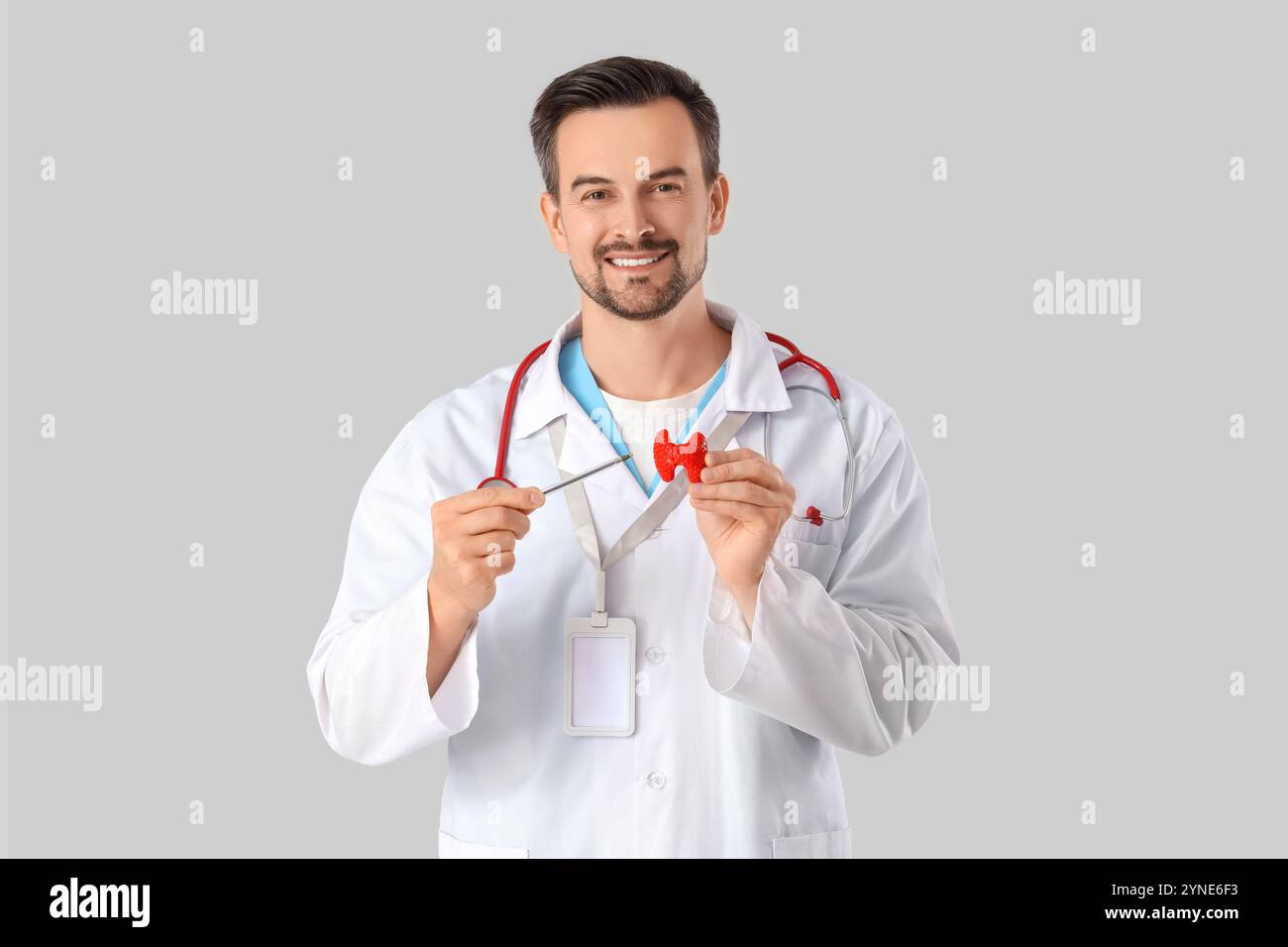 Male endocrinologist with thyroid gland model on grey background Stock ...