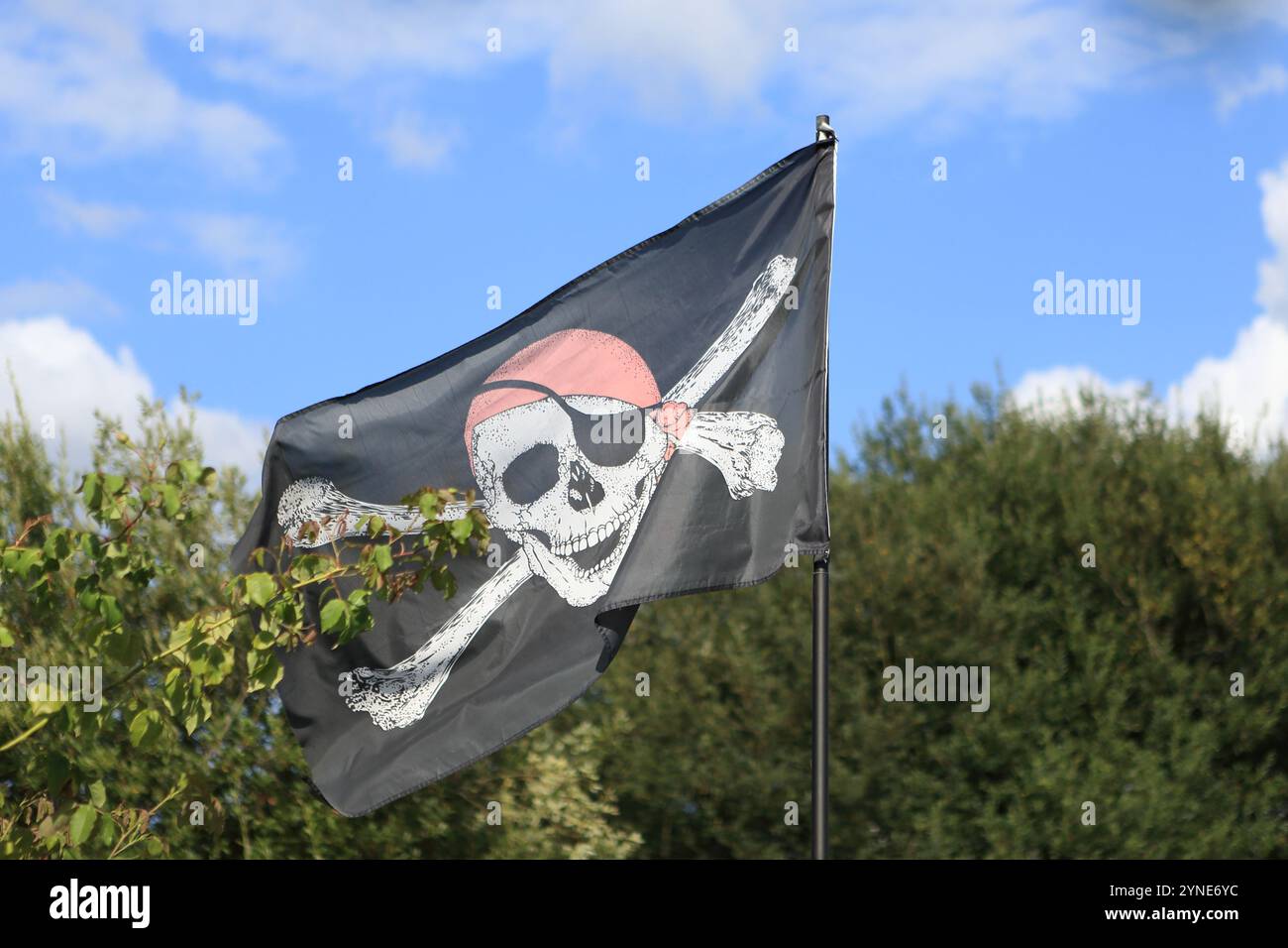 Skull and crossbones flag pirate flag on allotments in Salisbury ...