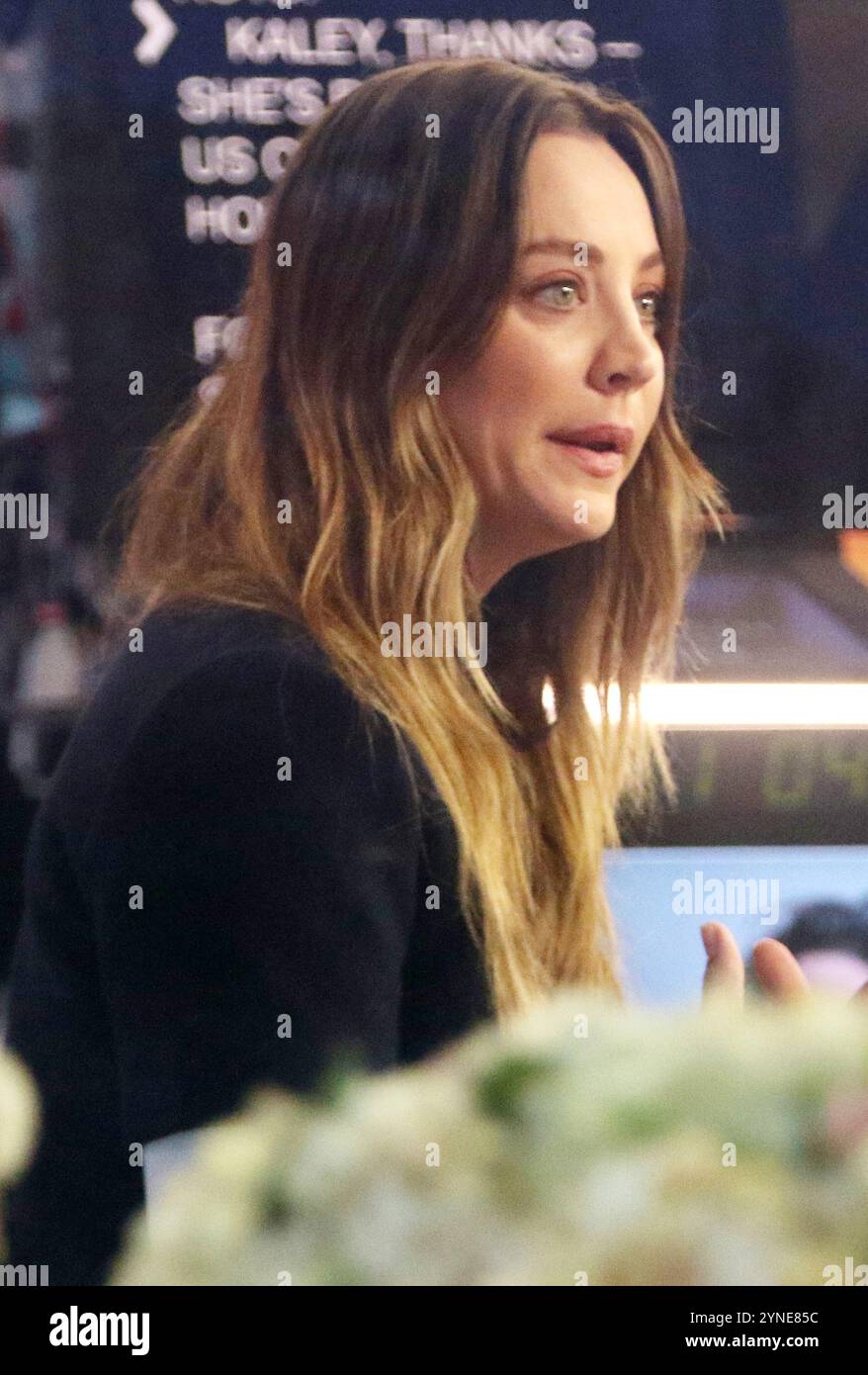 Kaley cuoco 2024 hi-res stock photography and images - Alamy
