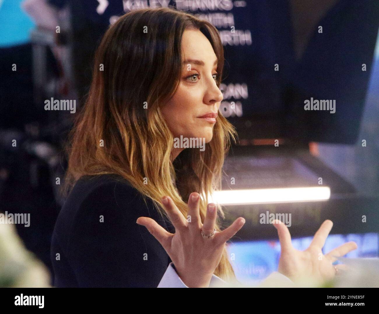 Kaley cuoco 2024 hi-res stock photography and images - Alamy